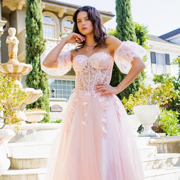 Cinderella Couture | Dresses | New Long Aline Tulle Dress Embroidered ...